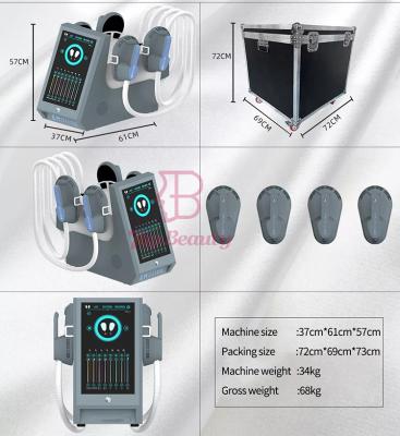 Cina Pancia SME che scolpisce lo stimolatore elettromagnetico del muscolo delle maniglie pelviche del pavimento 4 della macchina in vendita