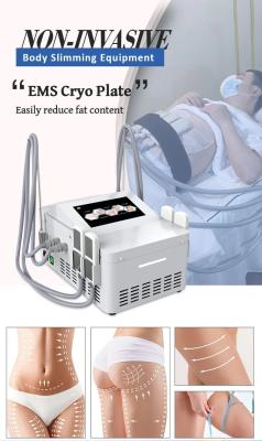 China Portable Fat Freezing Machine Slimming Fat Cellulite Removal Cryotherapy Device Cryo Plates for sale