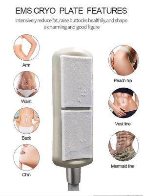 China Portable Fat Freezing Machine Slimming Fat Cellulite Removal Cryotherapy Device Cryo Plates for sale