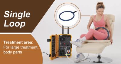 China Magnetotherapie Pmst Neo-Pulse Elektromagnetische Pemf Schleife Gerät zu verkaufen