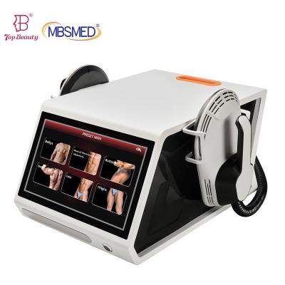 중국 휴대용 EMS 살림 근육 자극기 판매용