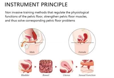 Cina Ems Pelvic Chair Ergonomic Cushion Pelvic Floor Muscle Repair Machine Muscle Trainer Pelvic Floor Strumento in vendita