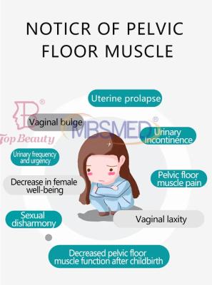 Cina Macchina per sedia di riparazione post-partum dei muscoli del pavimento pelvico EMS per muscoli del pavimento pelvico, incontinenza urinaria, sedia EMS in vendita