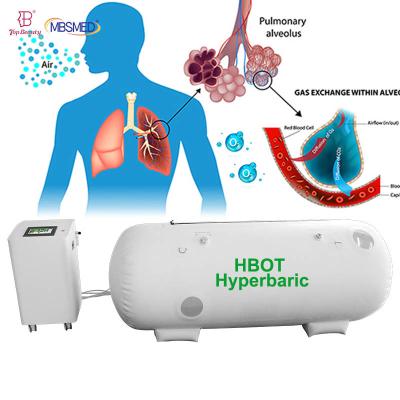 Cina 2.0ATA Compressore d'aria all-in-one HBOT con generazione di ossigeno 1.5ATA Camera di ossigeno iperbarica in vendita