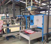 China 500BPH Vertical Filling Automatic Bagger Machine Weighing Scales for sale