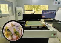 China Single Phase CTS Laser Direct Exposure Machine 220V 2540dpi for Textile Printing and Decals for sale