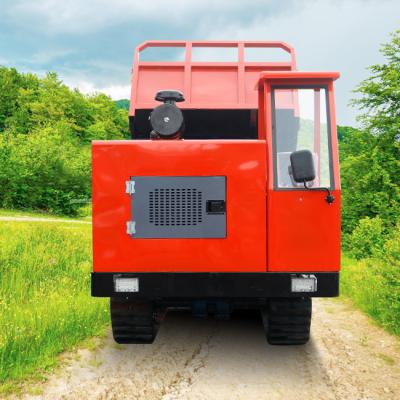 Cina 6 tonnellate di carrello crawler mini idraulico Weichai motore diesel alimentato per la coltivazione di palme giardino in vendita