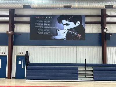 China ¡LED de montaje en pared de la serie BUD – ¡La solución de instalación fija más inteligente y delgada! en venta