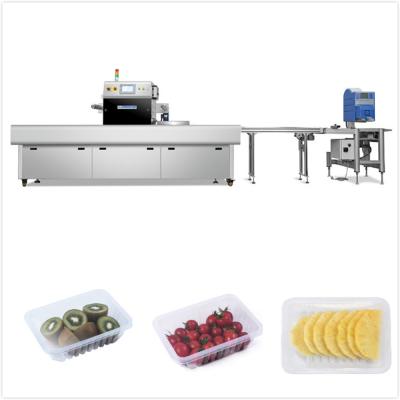 China 304 van het de Verzegelaardienblad van het roestvrij staal Vacuümpak Verzegelend Machine Horizontaal Type Te koop