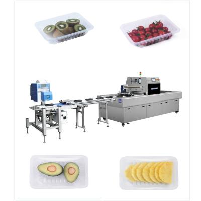 Cina Acciaio inossidabile della macchina orizzontale industriale di sigillamento per l'ortaggio da frutto in vendita