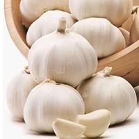 China China Mixed Garlic 5-6cm for sale