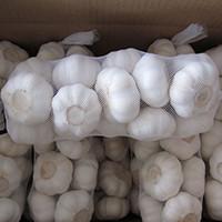 China 5.0cm Pure White Garlic for sale