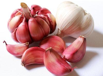 China 4.5cm Normal White Garlic for sale