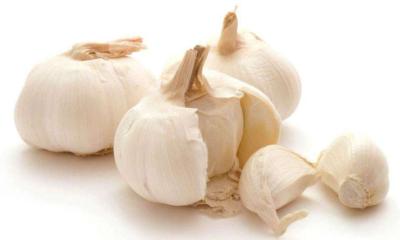 China Goodfarmer food holding (group) Co. Ltd — China Garlic Price for sale