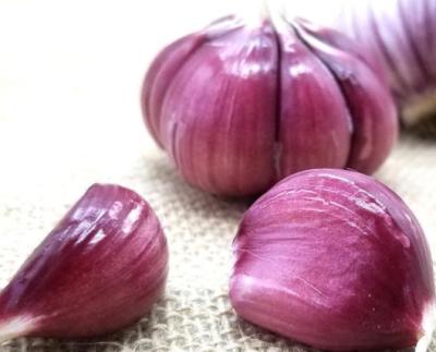 China There Is A Shortage in The Garlic Market for sale