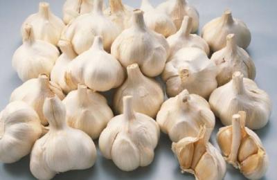 China Our Dry Garlic Production Doubled This Season for sale