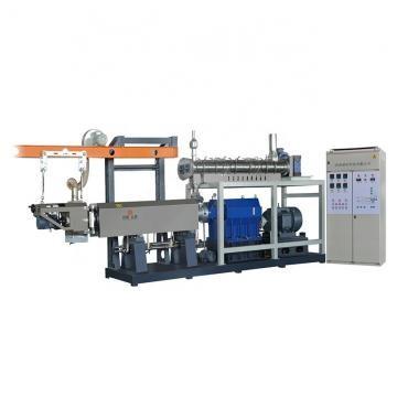 China snacks frying machine for sale