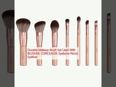 Reis make-up borstel set gebruikt met BLUSHER, CONCEALER, wenkbrauwen potlood, Eyeliner,OEM / ODM bestellingen welkom