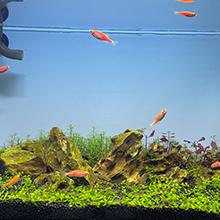commercial air pump air pump aquarium aquarium air pump pond air pump hydroponic air pump