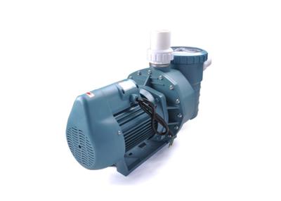 Cina progettazione compatta del risparmio energetico 2hp della pompa idraulica della piscina 1.5KW in vendita