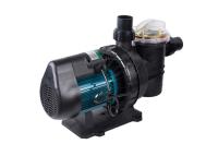 China Ourdoor Use Horizontal Pool Pump , Big Flow Indoor Pool Pump for sale