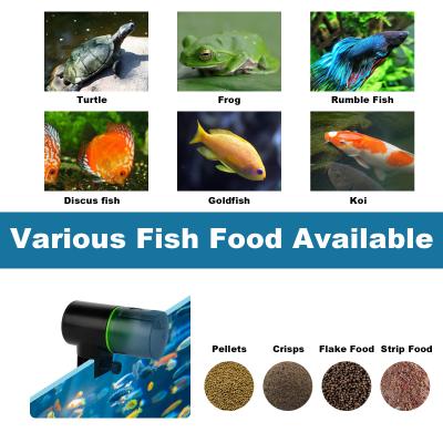 Cina Alimentatore automatico per acquario con timer per le vacanze per distributore di cibo per pesci regolabile elettrico in vendita