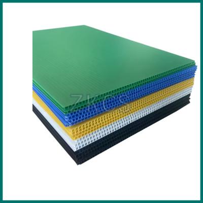 China Eco-Friendly PP Hollow Sheet for Packaging & Protection for sale