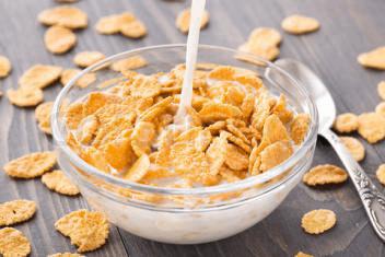 China Nigeria buy Breakfast Cereal Equipment for sale