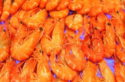 China Shrimp Meat Thawing Machine for sale