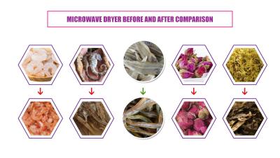 China Microwave Dry Machine for sale
