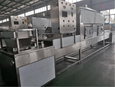 China Microwave Vacuum Equipment for sale