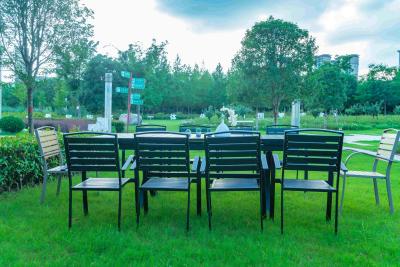 Cina 11 pezzi neri in legno di plastica mobili da giardino moderni per esterni Tavolo set da 8-10 posti Sedie da pranzo estensibili per patio in vendita