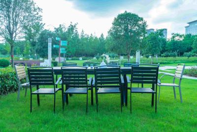 Cina 11 pezzi neri in legno di plastica mobili da giardino moderni per esterni Tavolo set da 8-10 posti Sedie da pranzo estensibili per patio in vendita