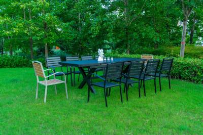 Cina 11 pezzi neri in legno di plastica mobili da giardino moderni per esterni Tavolo set da 8-10 posti Sedie da pranzo estensibili per patio in vendita