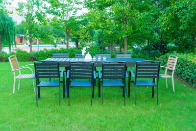 Cina 11 pezzi neri in legno di plastica mobili da giardino moderni per esterni Tavolo set da 8-10 posti Sedie da pranzo estensibili per patio in vendita