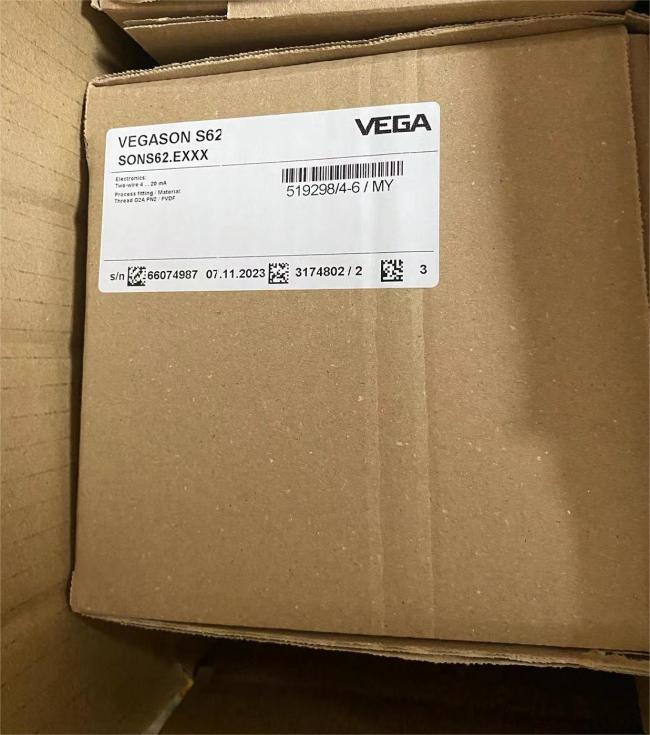 VEGASON S62 Ultrasonic Sensor for continuous level measurement