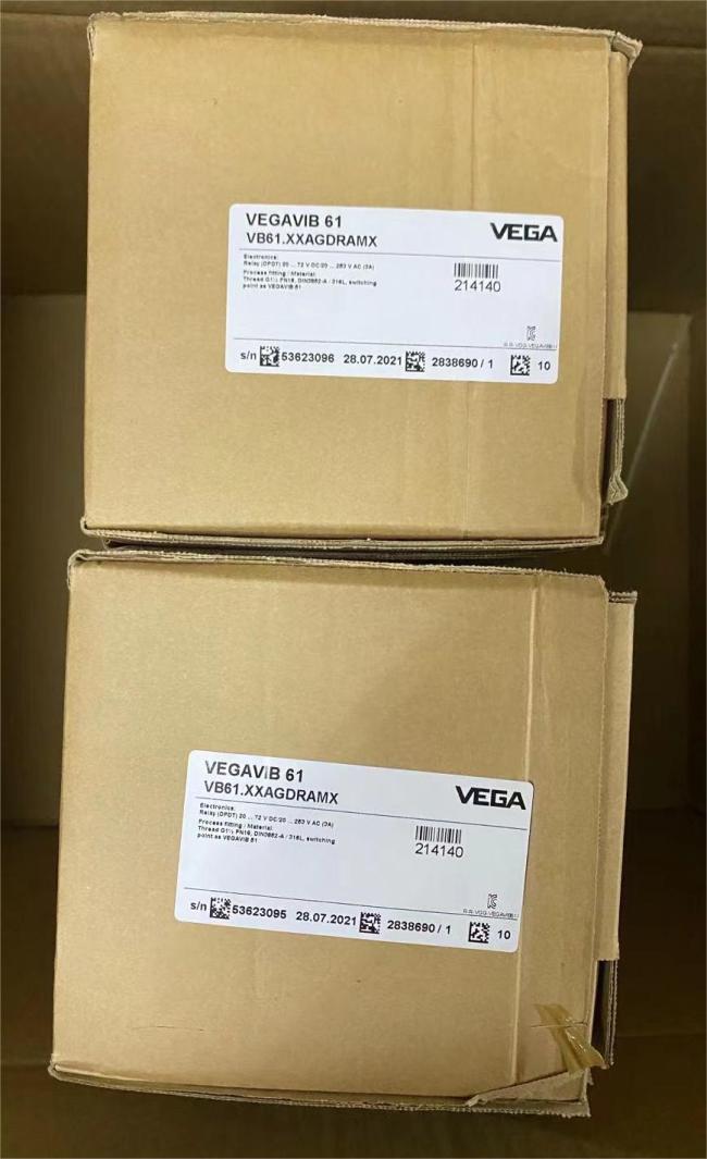 VEGAVIB 61 Vibrating Level Switch product image