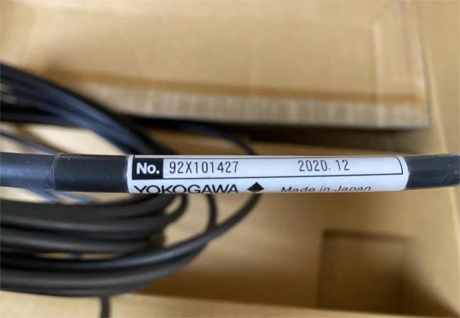YOKOGAWA DO30G Dissolved Oxygen Sensor