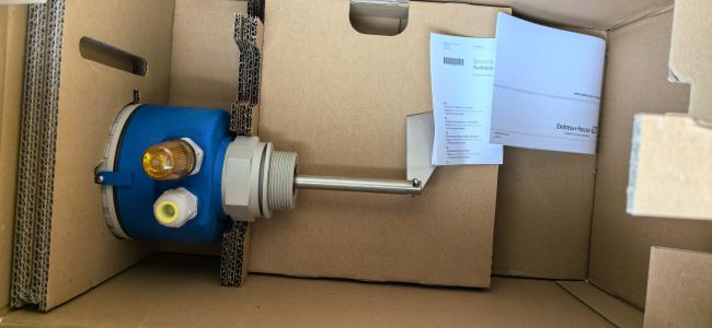 Endress Hauser FTE30 Point Level Switch showing paddle and process connection