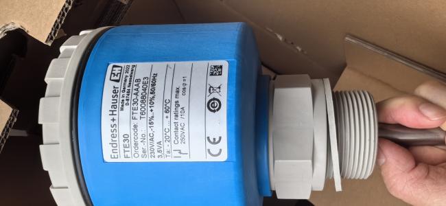 Endress+Hauser Soliswitch FTE30 Rotary Paddle Switch