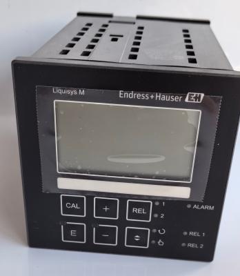 中国 エンドレス・ハウザー IP65 pH/ORP 変換器 CPM223-MR0005 パネルマウント 販売のため