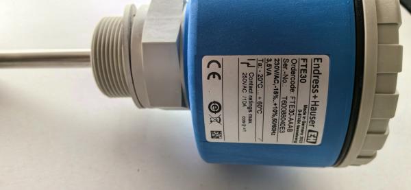 Quality Endress Hauser Fte30 Soliswitch Rotary Paddle Level Switch 230VAC for sale