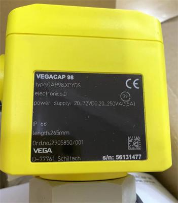 Cina VEGACAP 98 Sonda a canna capacitiva per la rilevazione del livello G11⁄2 filo in vendita