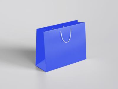 Cina Art Printed Paper Shopping Bag blu con l'imballaggio del regalo della maniglia del nastro della corda in vendita