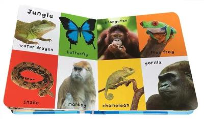 China Offset Printing Hardcover Children'S Books Gloss Lamination for sale