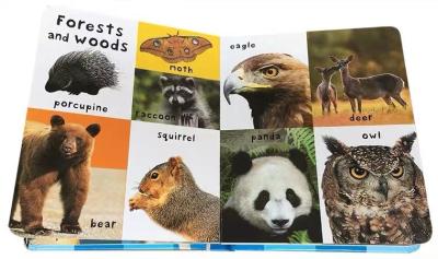 China Offset Printing Hardcover Children'S Books Gloss Lamination for sale