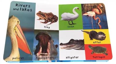 China Offset Printing Hardcover Children'S Books Gloss Lamination for sale
