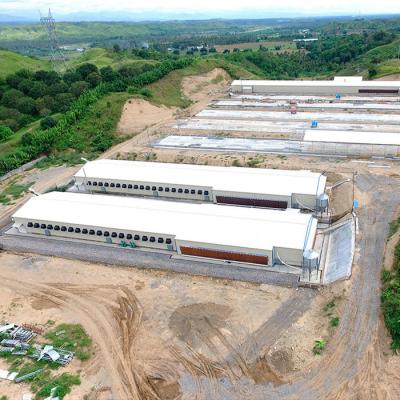 China Taller Estructura de acero elevada Casa de pollo Fácil montaje Alta resistencia en venta