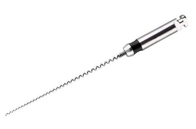 China Medical Stainless Steel Dental Paste Carrier Dental Endo Files for sale