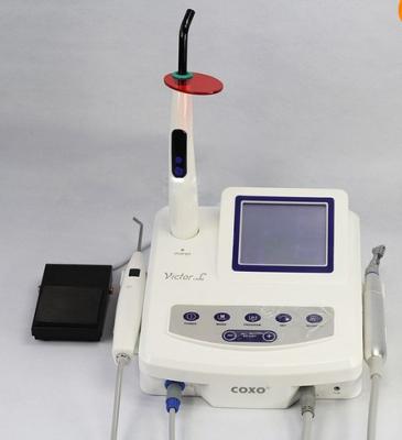 China Dental Endomotor with Apex Locator/Dental Endodontic treatment C-Smart-L for sale